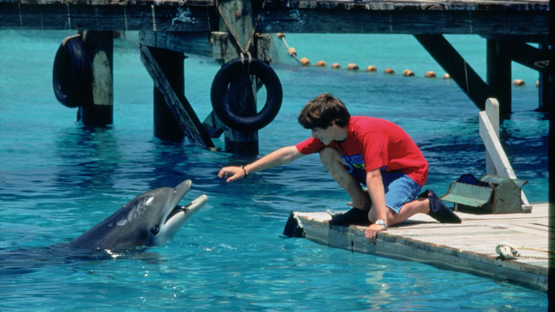 Watch Flipper Trailer (1996) - Free Movies | Tubi