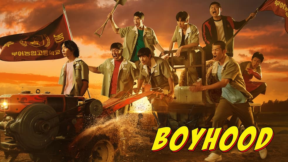 Watch Boyhood Streaming Online | Tubi Free TV