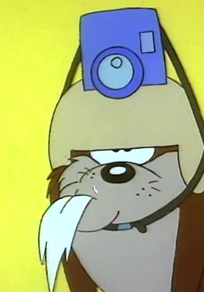 Watch Taz-Mania S01:E12 - Instant Replay/Taz and the Pterodactyl - Free ...