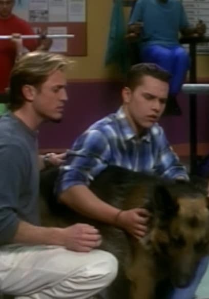 Watch Power Rangers Zeo S04:E07 - Every Dog Has His Day - Free TV Shows ...