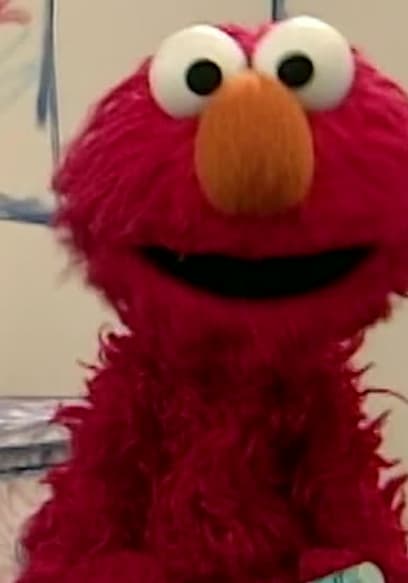 Watch Sesame Street S31:E62 - Elmo in Numberland - Free TV Shows | Tubi