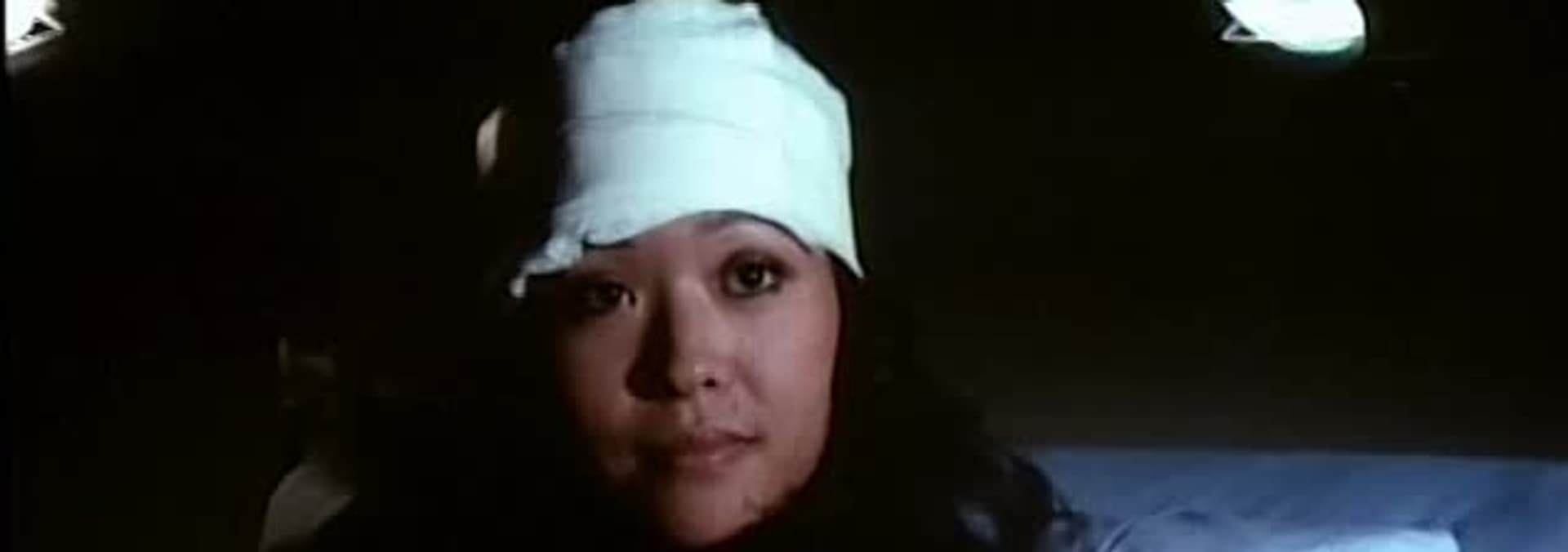 Watch Police Story S02:E14 - Year of the Dragon: Part I - Free TV Shows ...