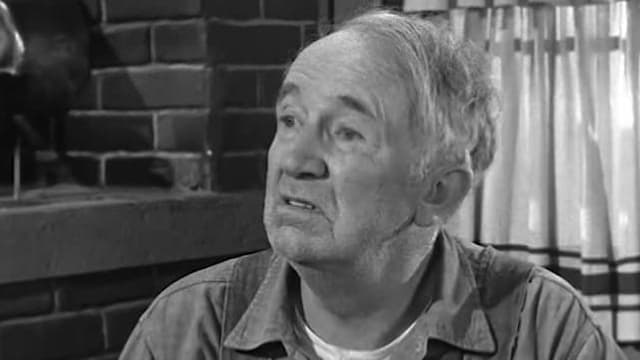 Watch The Real McCoys S05:E15 - Meeting Hassie's Friends - Free TV ...