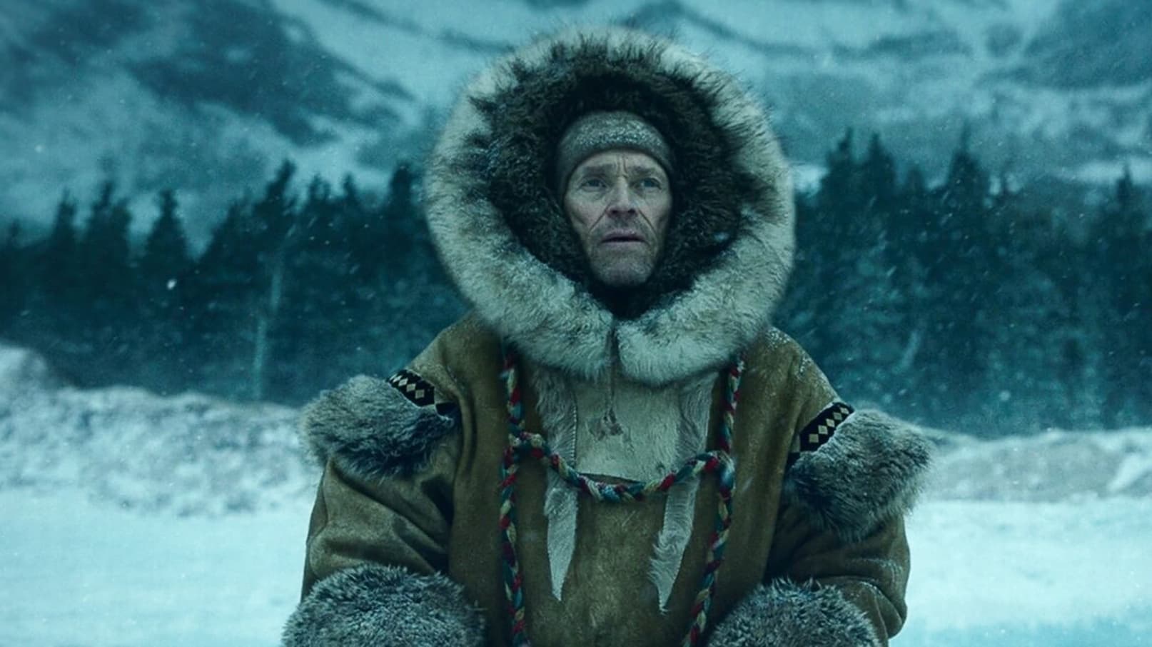 Watch Togo (2019) - Free Movies | Tubi