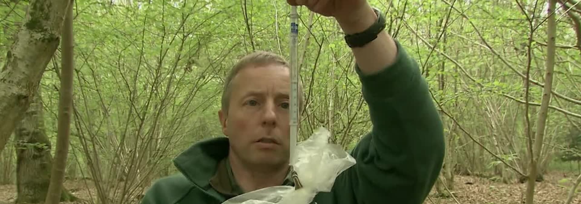 Watch Wild Britain With Ray Mears S03:E02 - Isle of Wight Woodland ...