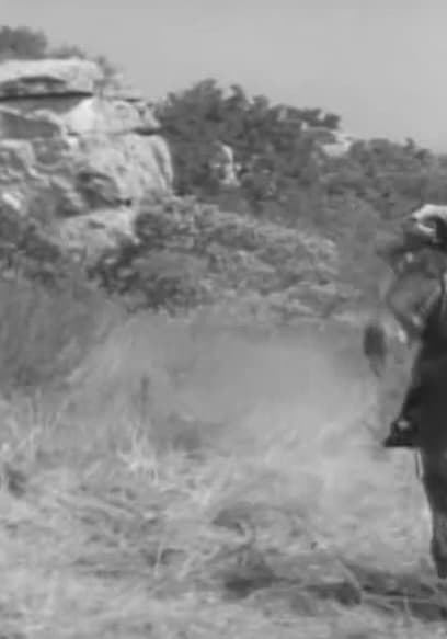 Watch Zorro’s Black Whip S01:E01 - The Masked Avenger - Free TV Shows ...