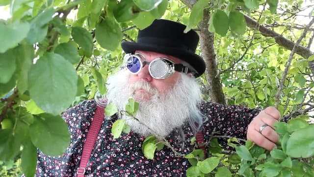 Watch Farting Zombies of N.I.G.H.T. Fall Streaming Online | Tubi Free TV