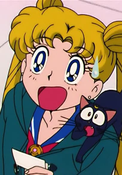 Watch Sailor Moon S01:E43 - Usagi Abandoned: the Falling-out of The ...