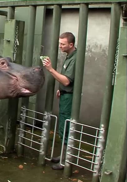 Watch The Zoo S03:E03 - Episode 3 - Free TV Shows | Tubi