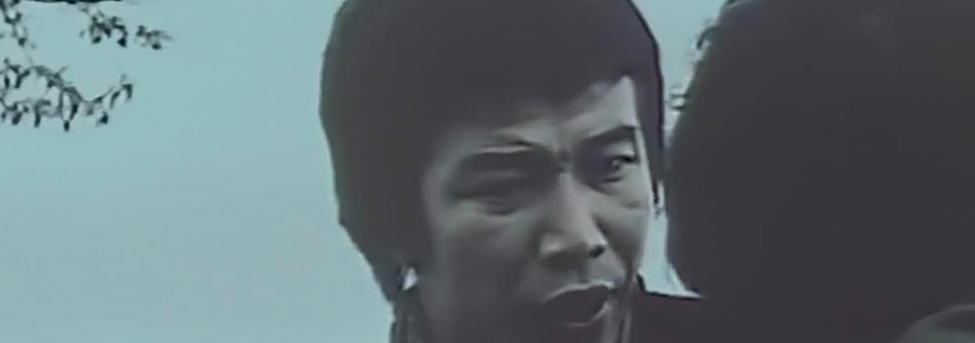 Watch Shaolin Deadly Kicks (1979) - Free Movies | Tubi
